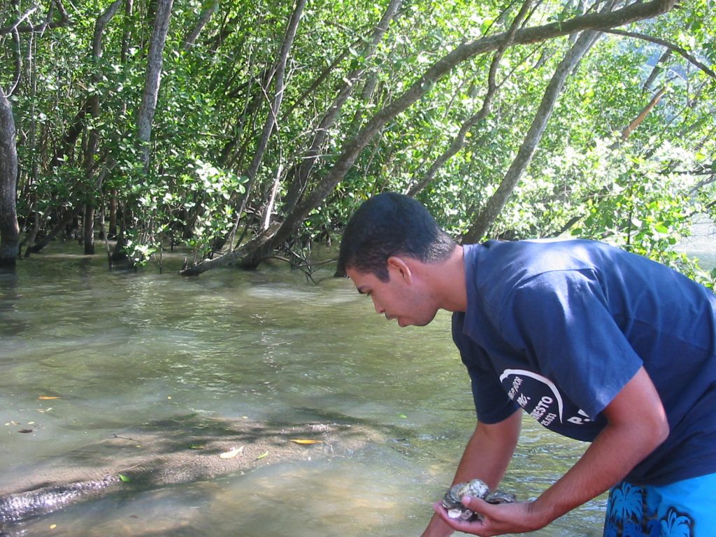 Instituto Brasileiro de Educação e Negócios Sustentáveis – Ibens ...