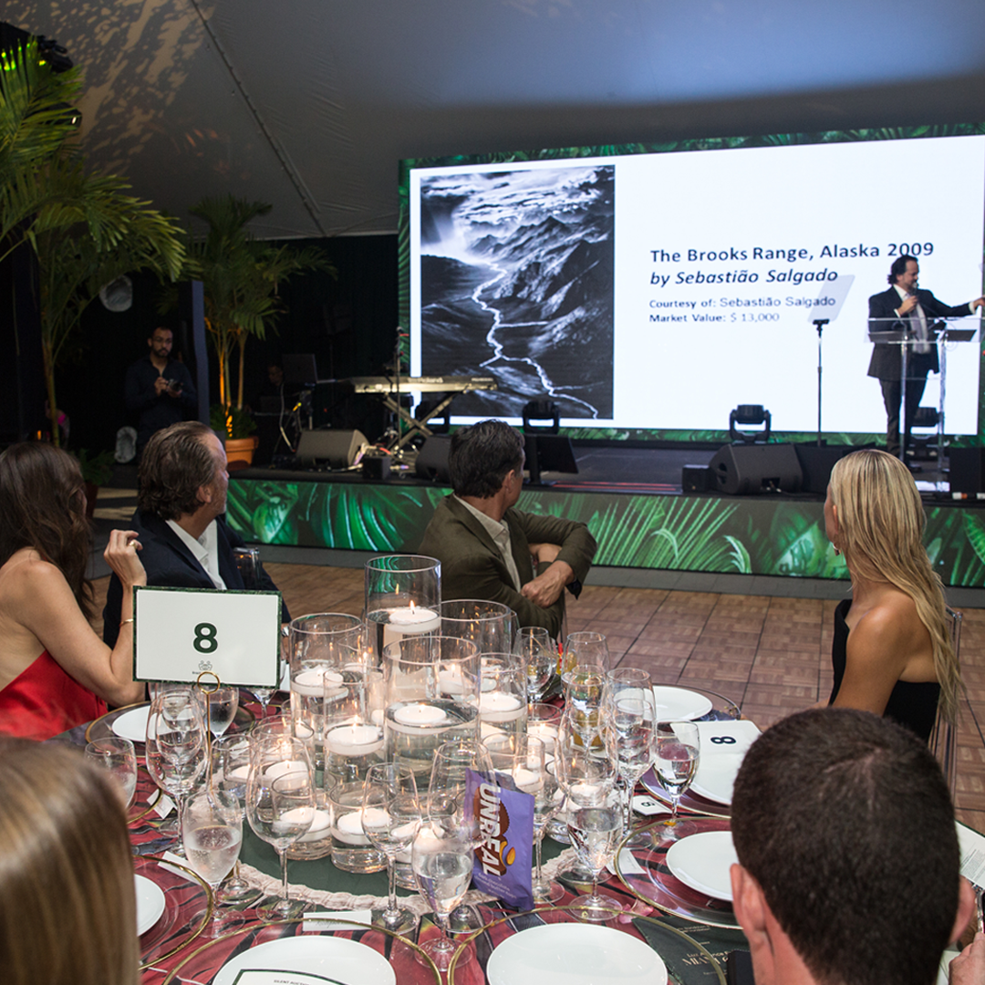 Gisele Bündchen’s first Gala for her Luz Alliance Fund with the BrazilFoundation raised close to ...