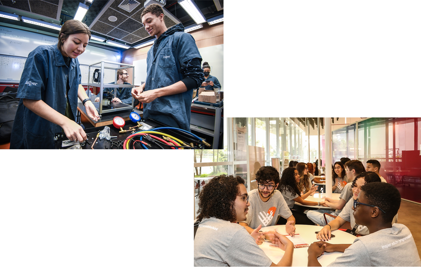 Fundo Insper da BrazilFoundation | BrazilFoundation