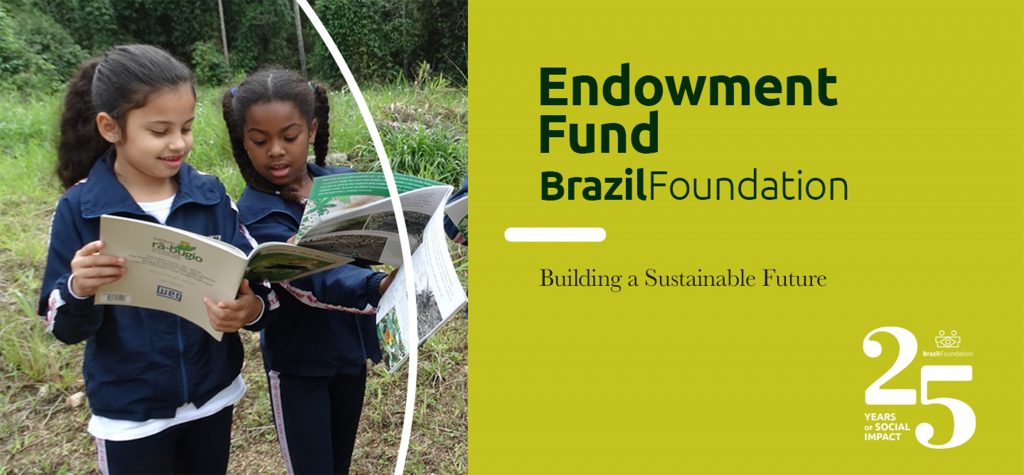 BrazilFoundation Endowment Fund | BrazilFoundation